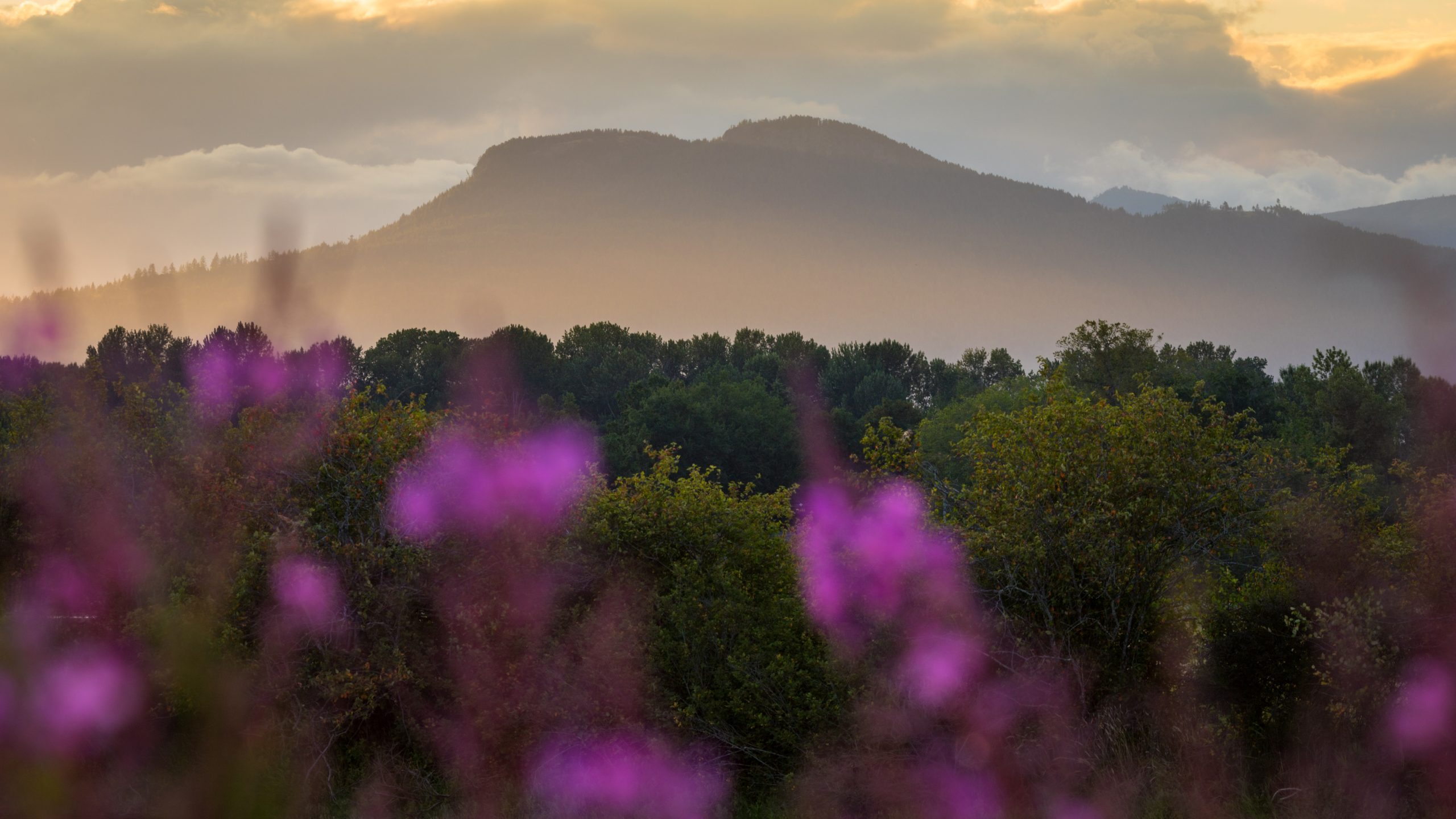 CVRD | Welcome to the Cowichan Valley Regional District