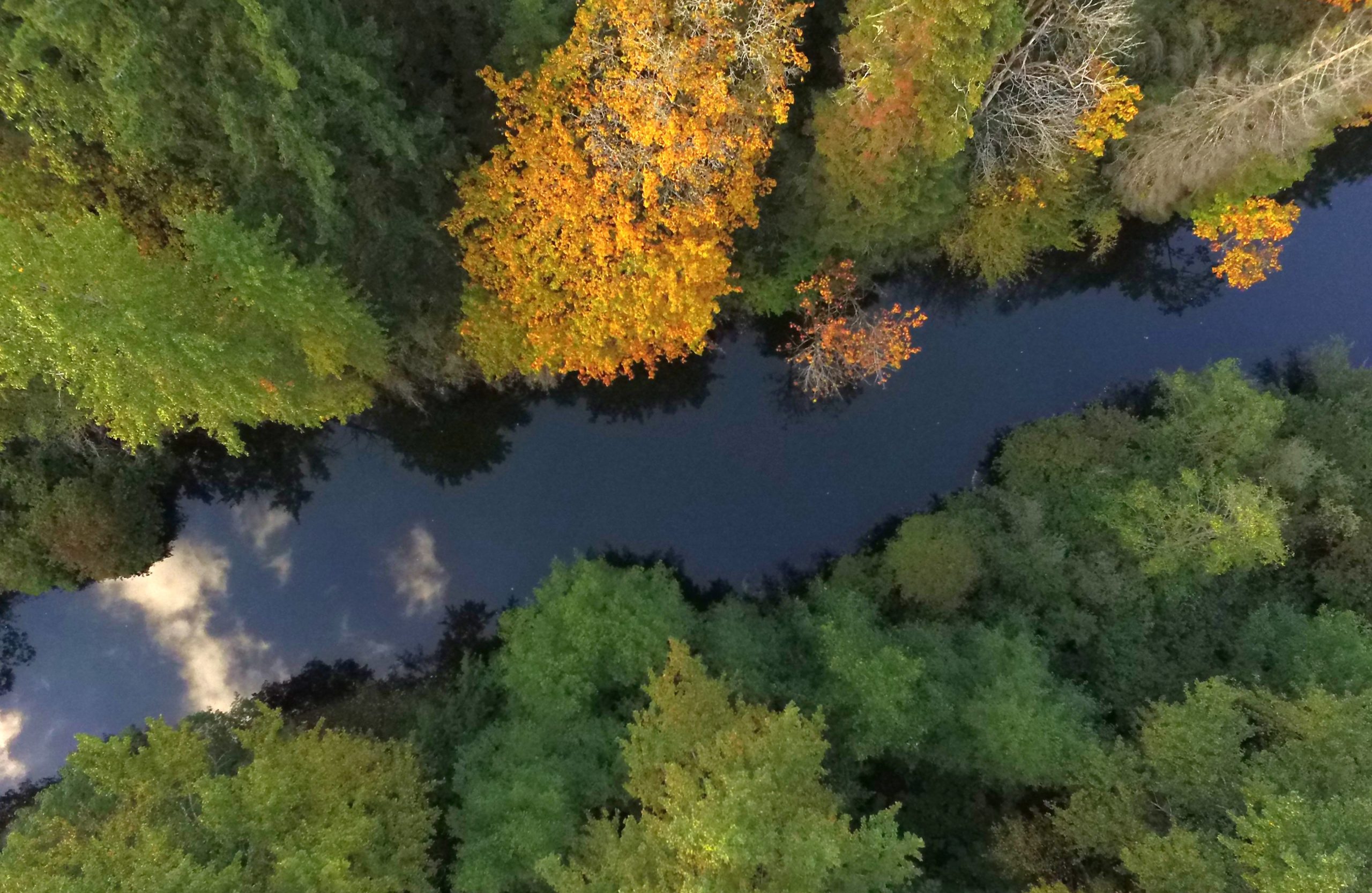 CVRD | Welcome to the Cowichan Valley Regional District